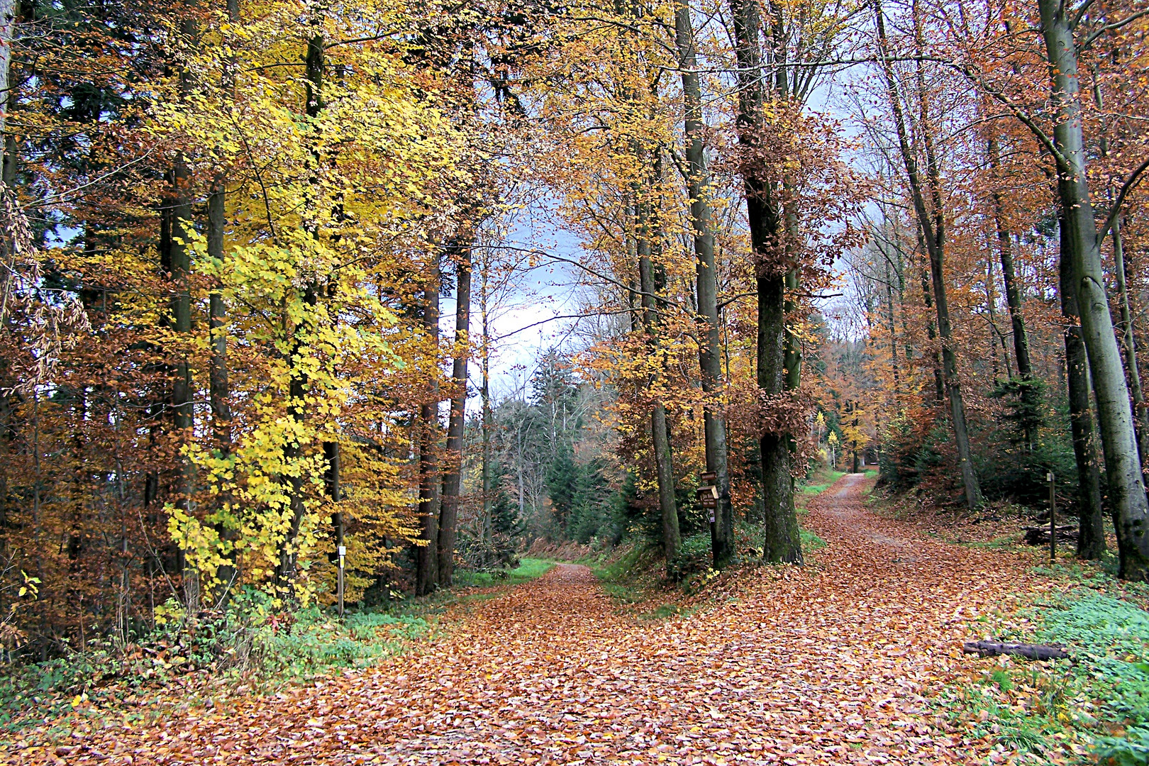Gengenbach Foto & Bild | deutschland, europe, baden- württemberg Bilder ... Gengenbach Foto & Bild | deutschland, europe, baden- württemberg Bilder ...