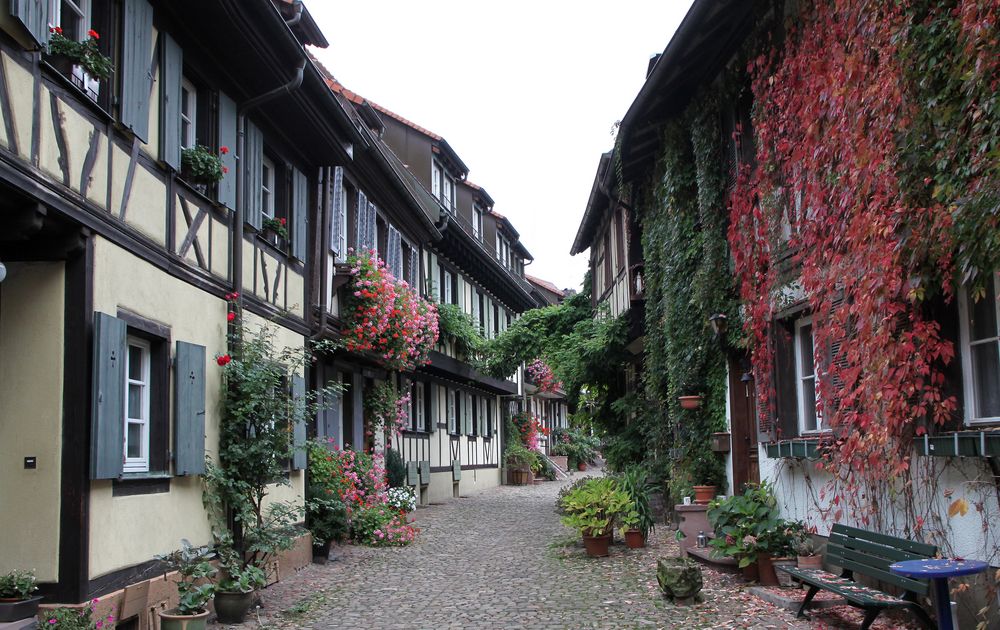 Gengenbach Foto & Bild | deutschland, europe, baden- württemberg Bilder ... Gengenbach Foto & Bild | deutschland, europe, baden- württemberg Bilder ...