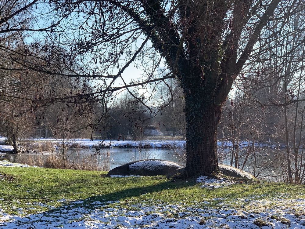 Geniessen Foto & Bild | landschaft, jahreszeiten, winter Bilder auf fotocommunity