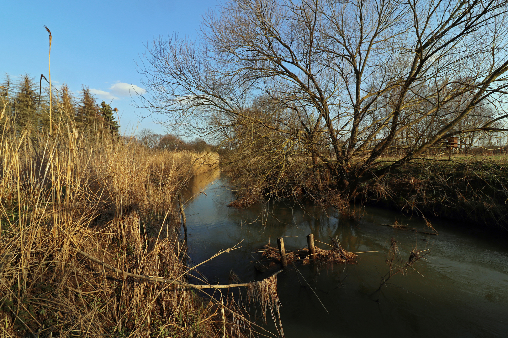 Genist im Flussbett Foto & Bild | landschaften, wasser, licht Bilder ...