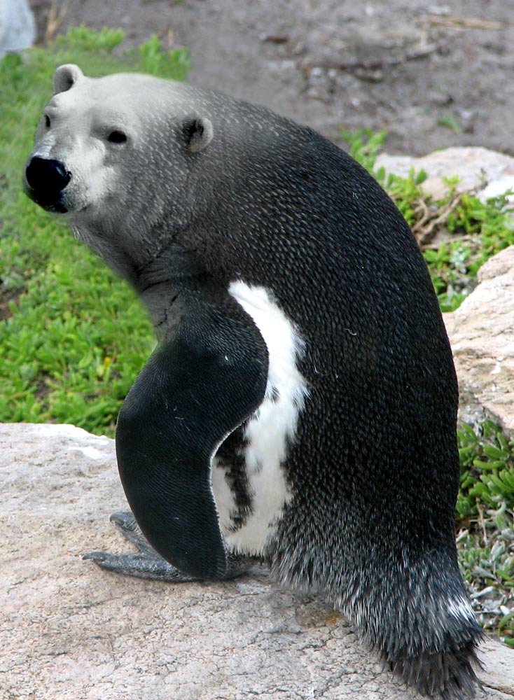 Genmanipulation Foto & Bild | wolpertinger, quatsch & fun, digiart ...