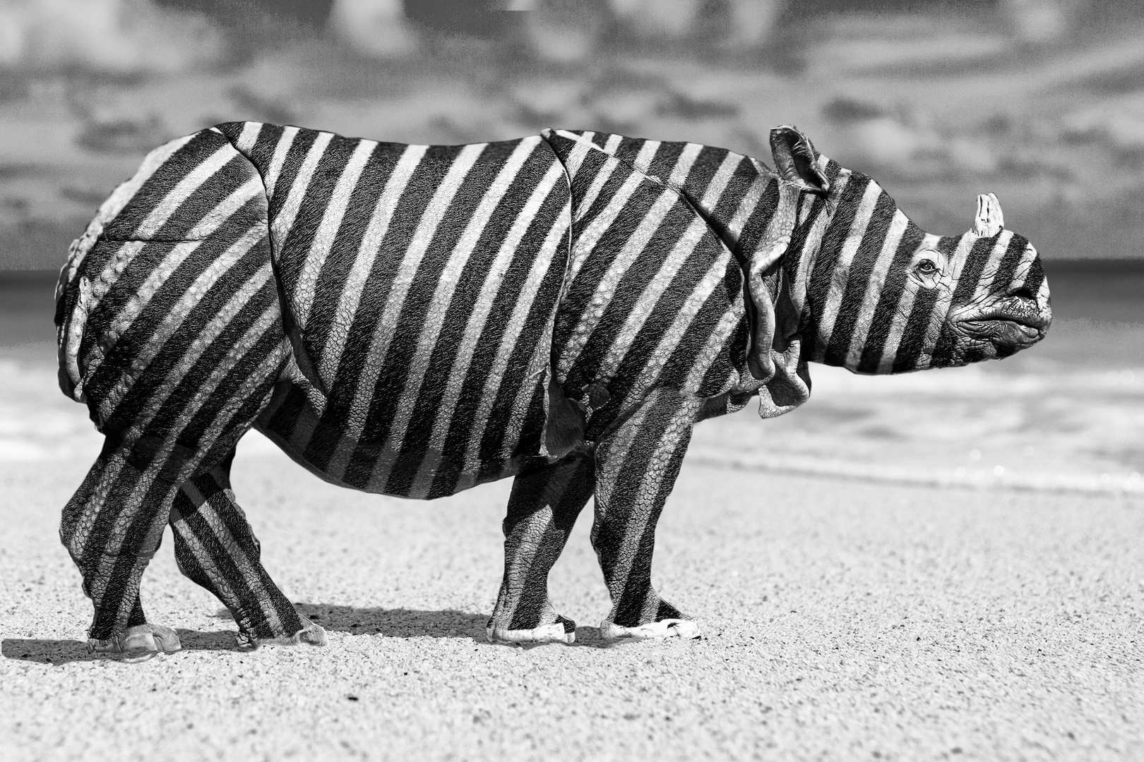 genmanipuliert Foto & Bild | projekte, bearbeitungs - techniken ...