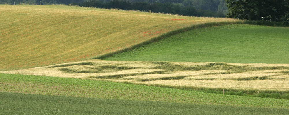 geofields forever (#4) Foto & Bild | landschaft, Äcker, felder & wiesen ...