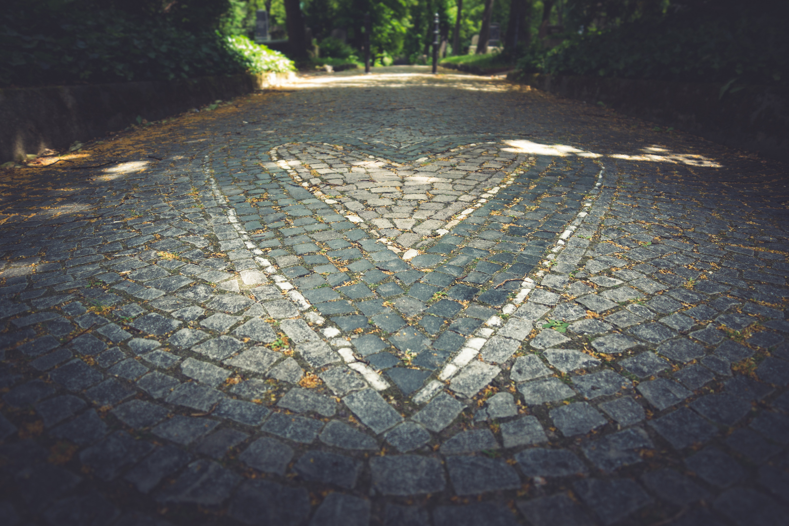 gepflastert Foto & Bild | fotos, world, dokumentation Bilder auf ...