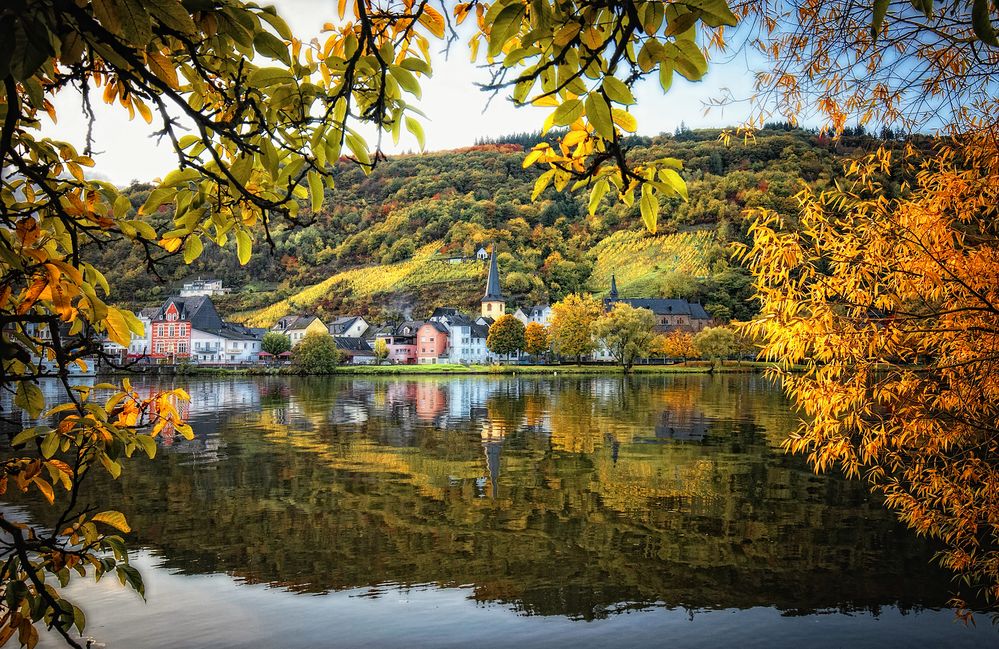 Gerahmte Mosel Foto & Bild | landschaft, jahreszeiten, herbst Bilder ...