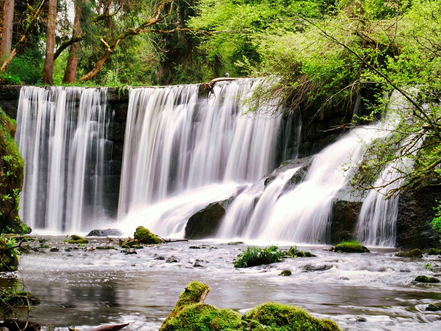 Geratser Wasserfall Foto & Bild | landschaft, wasserfälle, bach, fluss ...