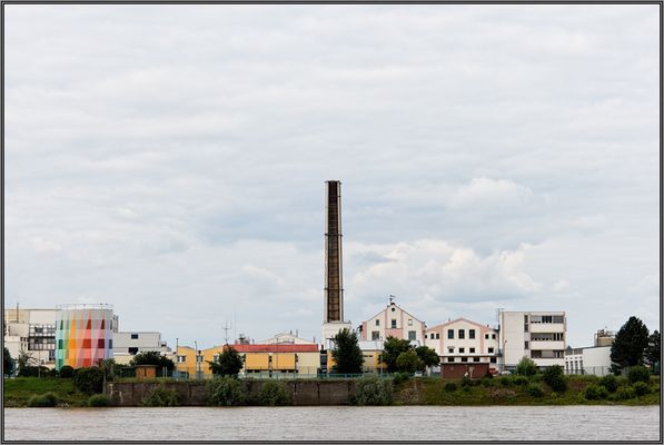 Gernsheim am Rhein Bilder & Fotos