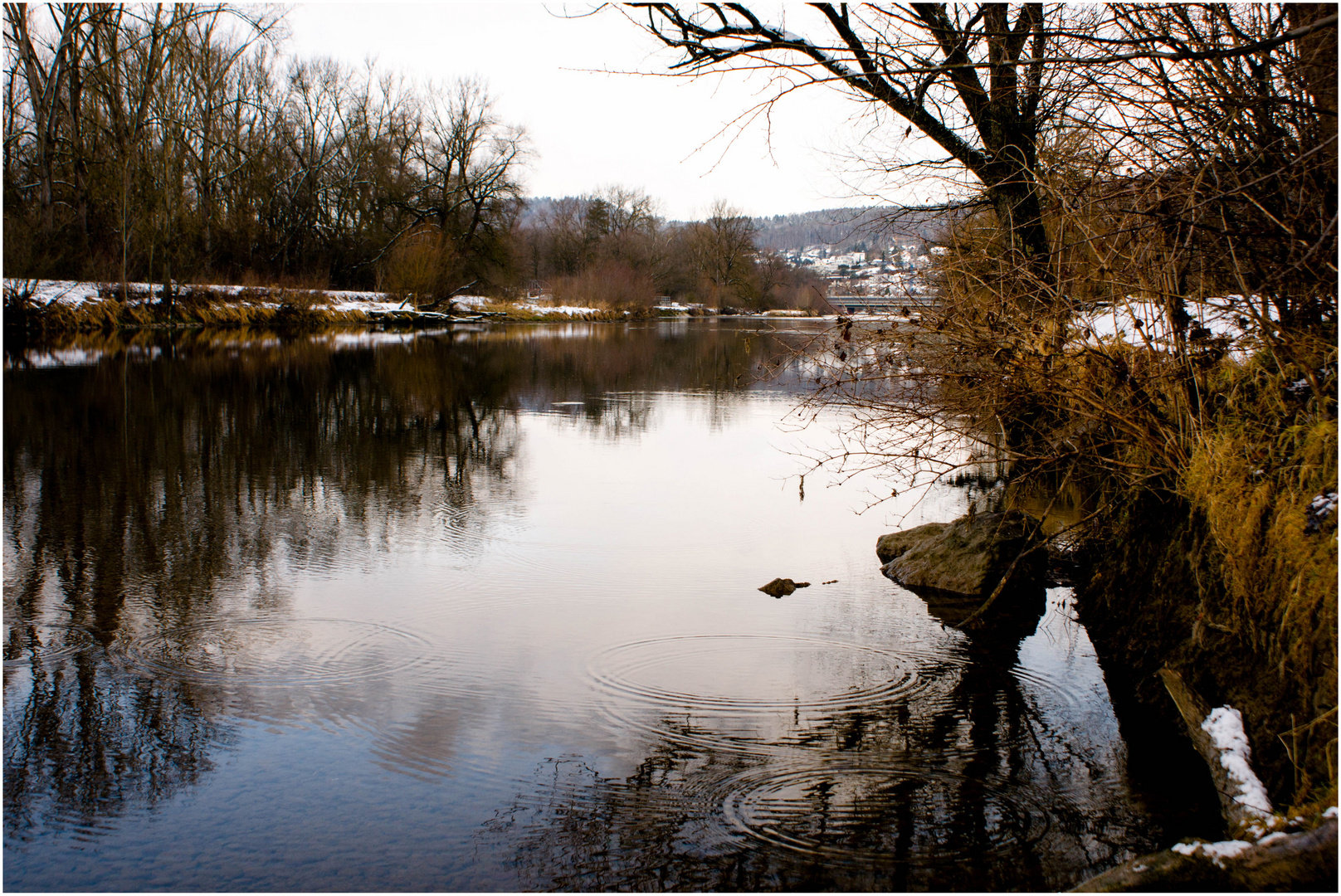 Geroldswiler Au an der Limmat 1 Foto & Bild | landschaft, am wasser ...