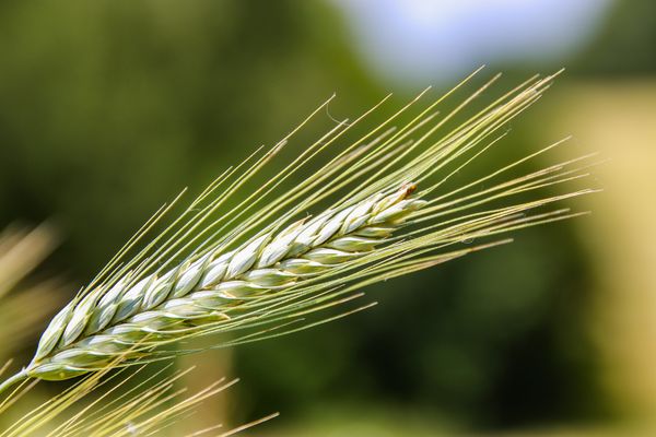 Anfängerecke - nachgefragt Bilder & Fotos