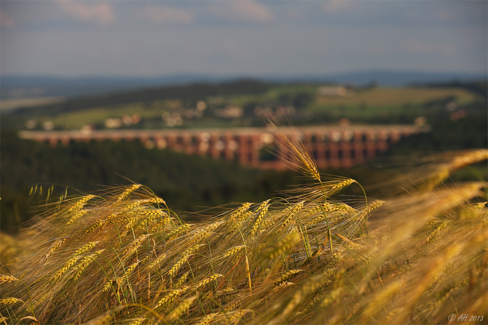 Gerstenfeld Foto & Bild | landschaft, Äcker, felder & wiesen ...