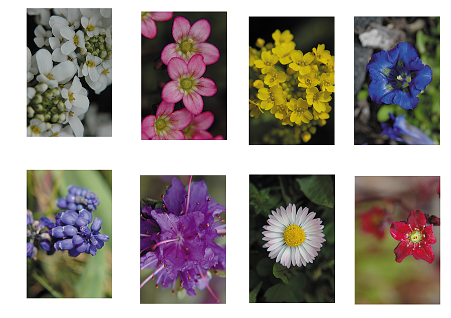 geschafft !!! Foto & Bild | archiv projekte naturchannel, naturprojekte ...