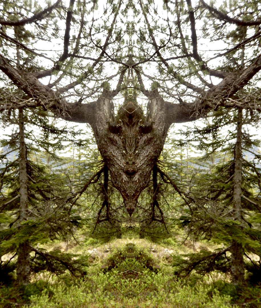 Geschel , Golzern Foto & Bild | fotomontage, landschaften, fantasy mystery Bilder auf fotocommunity