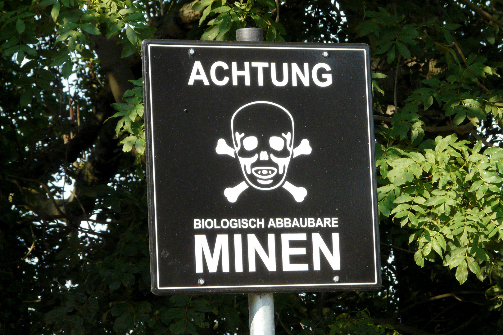 Gesehen auf dem platten Lande in Norddeutschland - igitt, Tretminen ...