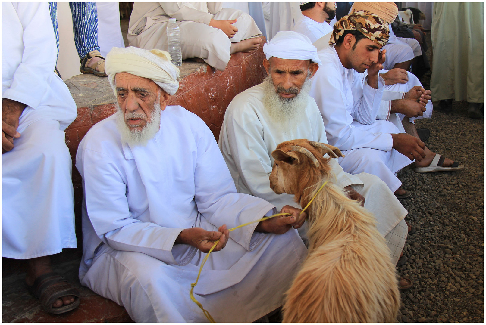 Gespannt.... Foto & Bild | nature, world, wasser Bilder auf fotocommunity