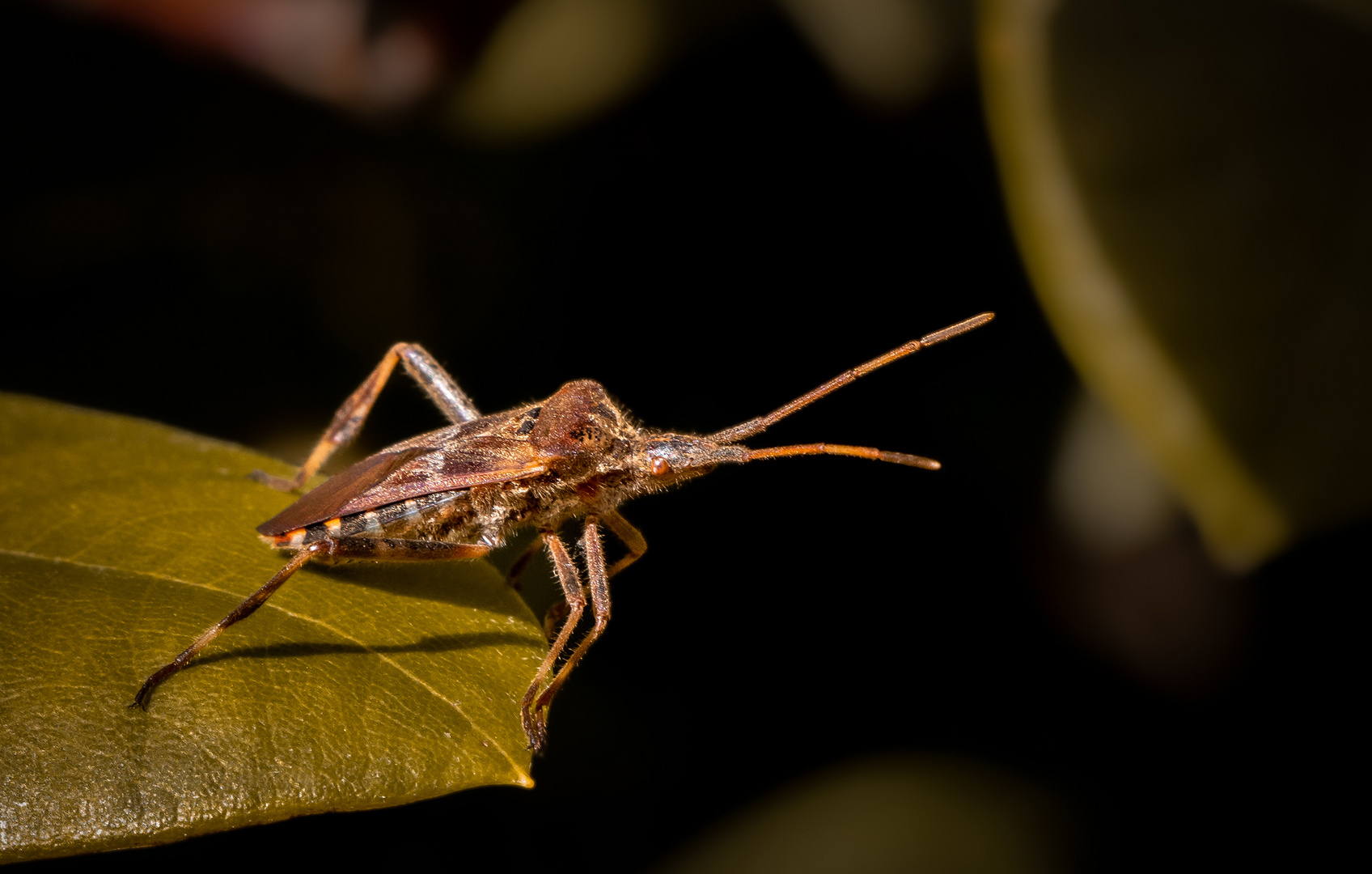 Gespannt Foto & Bild | world, outdoor, makro Bilder auf fotocommunity