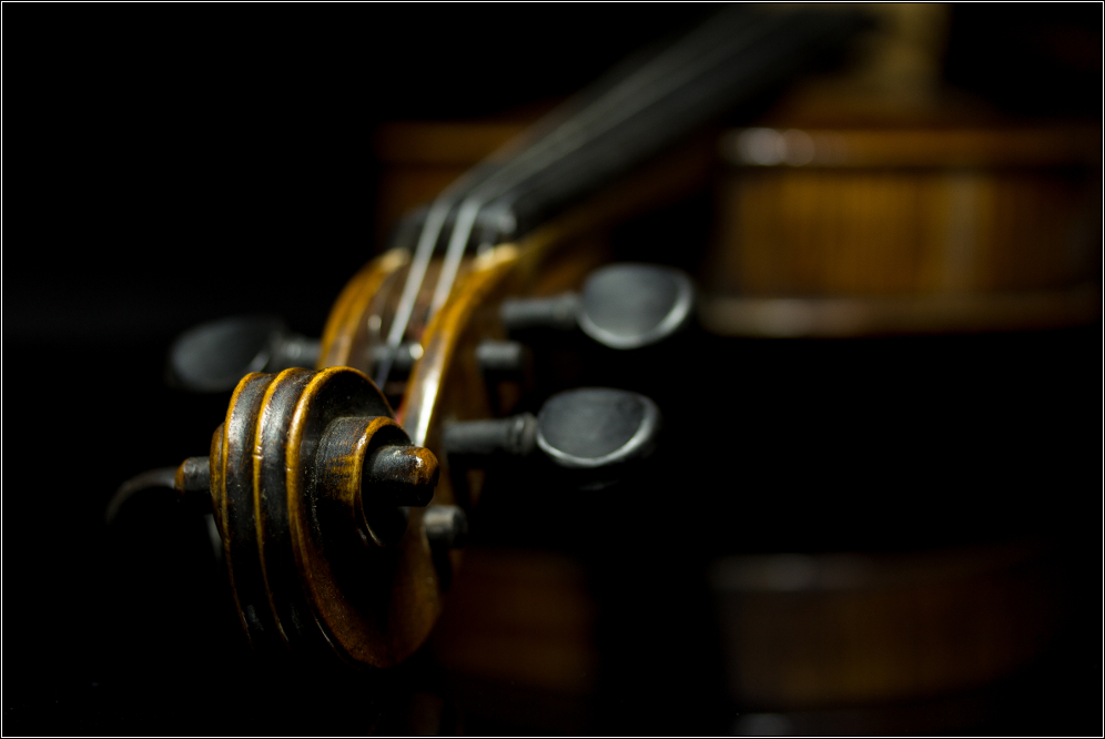 Gespannt Foto & Bild | stillleben, arrangierte szenen, technik ...