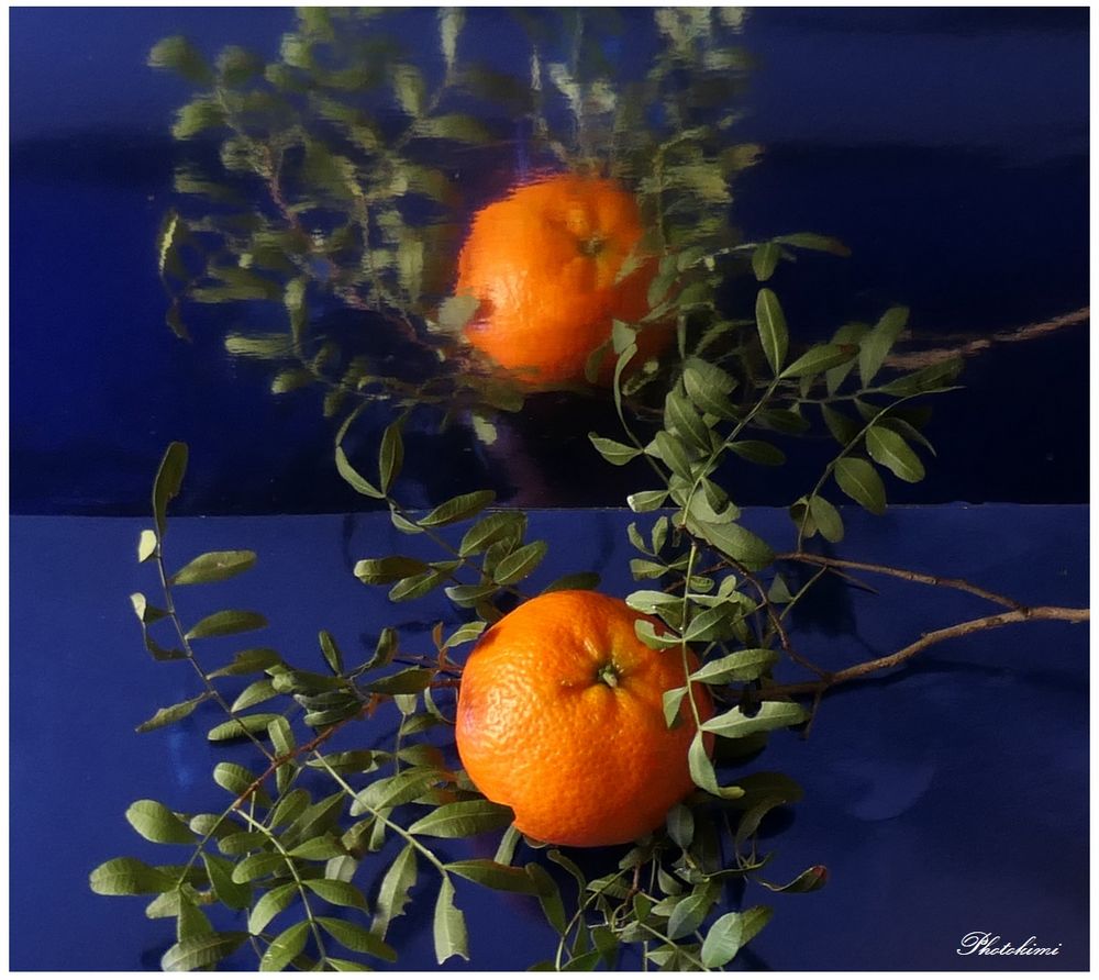 Gespiegelte Mandarin Orange Foto & Bild | pflanzen, pilze & flechten ...