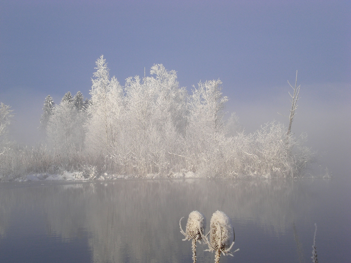 gespiegelte Natur frostig klirrend Foto & Bild | jahreszeiten, winter ...
