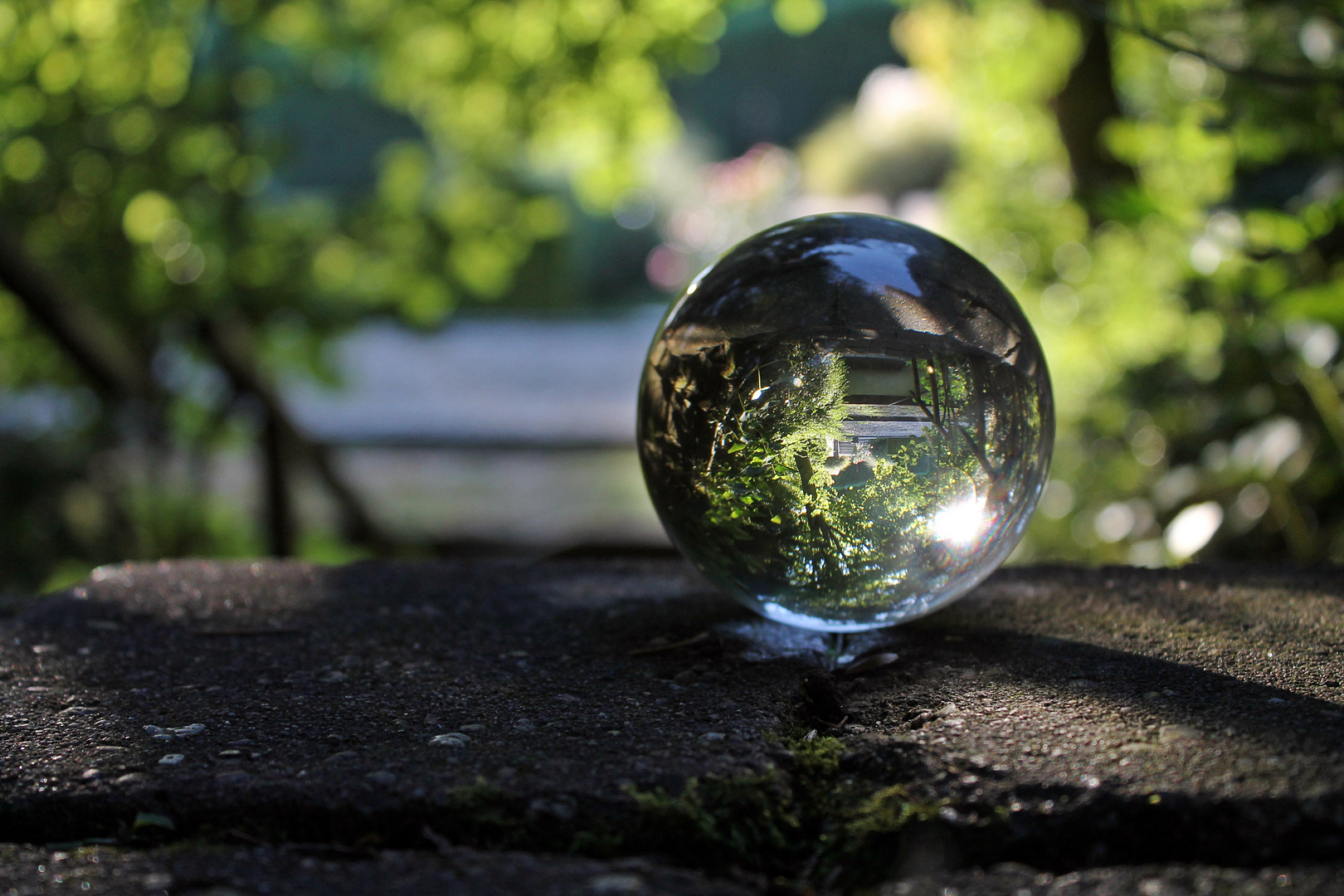 Gespiegelte Natur | Glaskugel Foto & Bild | sonne, baum, natur Bilder ...