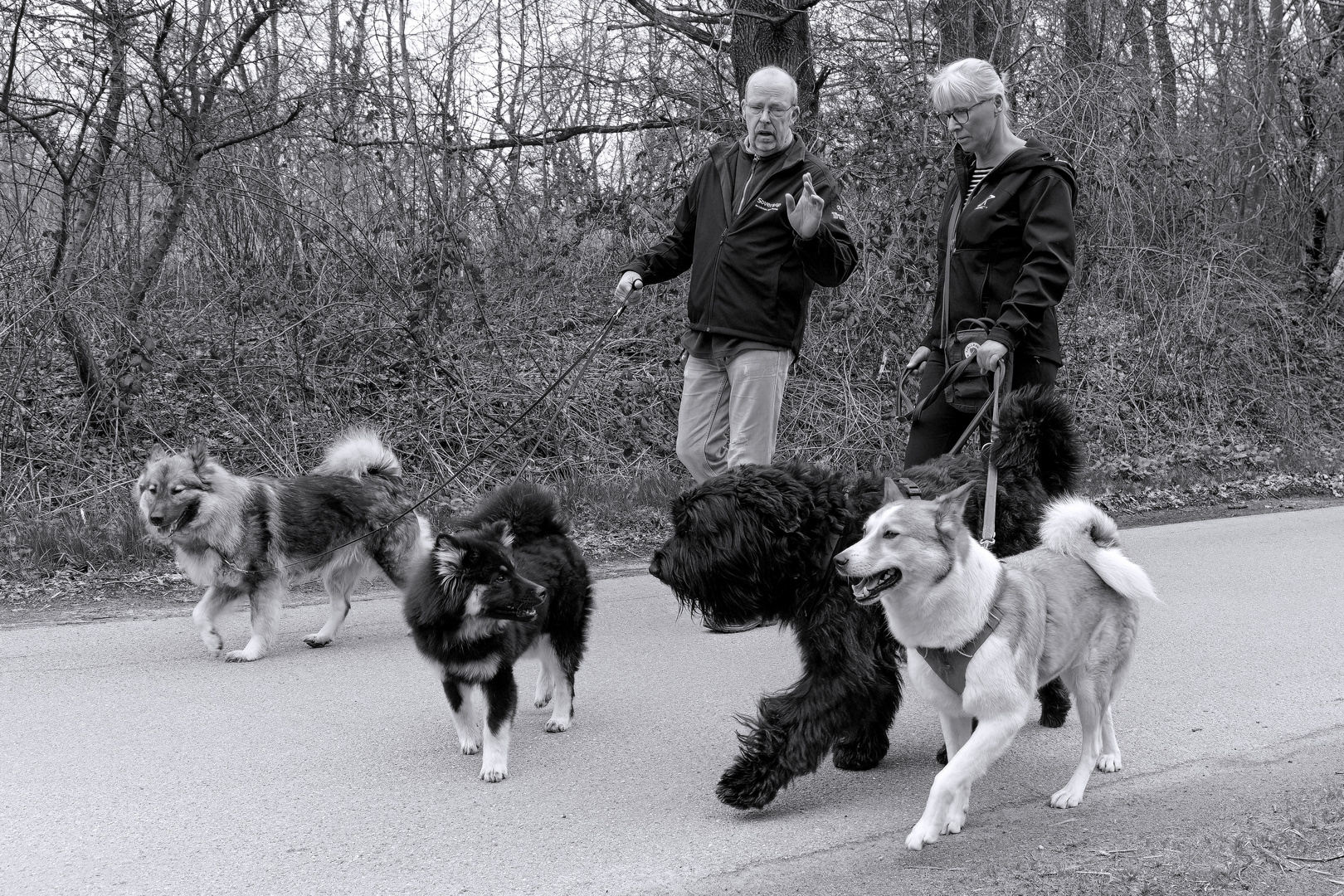 Gespräche Foto & Bild | erwachsene menschen, tiere, haustiere Bilder auf fotocommunity