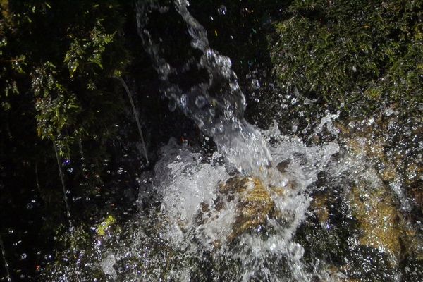 Thomas Zech - Fotos & Bilder - Fotograf aus Neusäß, Deutschland ...