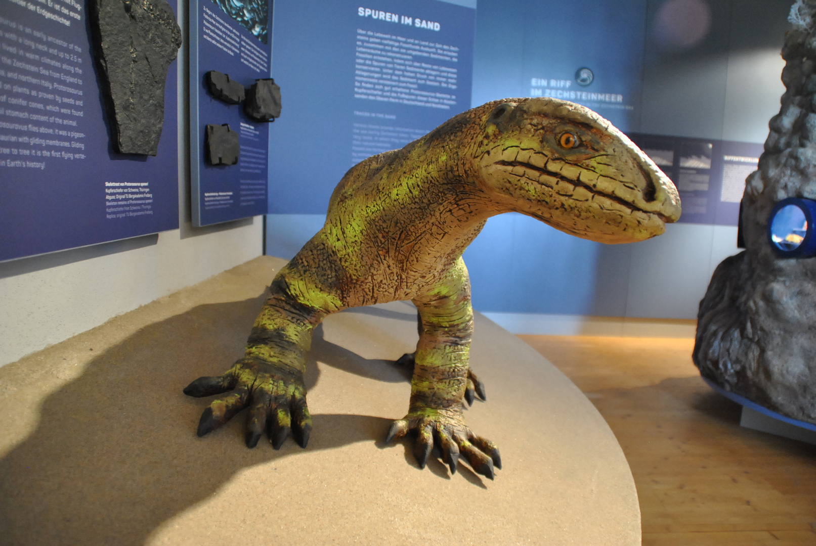 Gestatten, Protorosaurus „Rani“ Foto & Bild | world, dokumentation ...