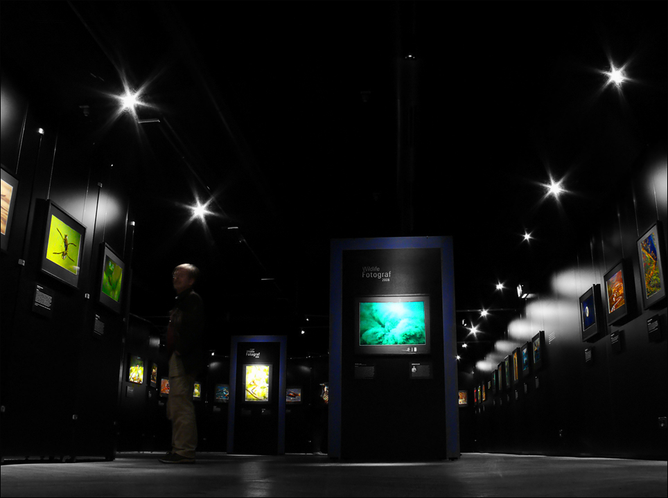 Gestörte Aufnahme Foto & Bild | deutschland, europe, bayern Bilder auf ...