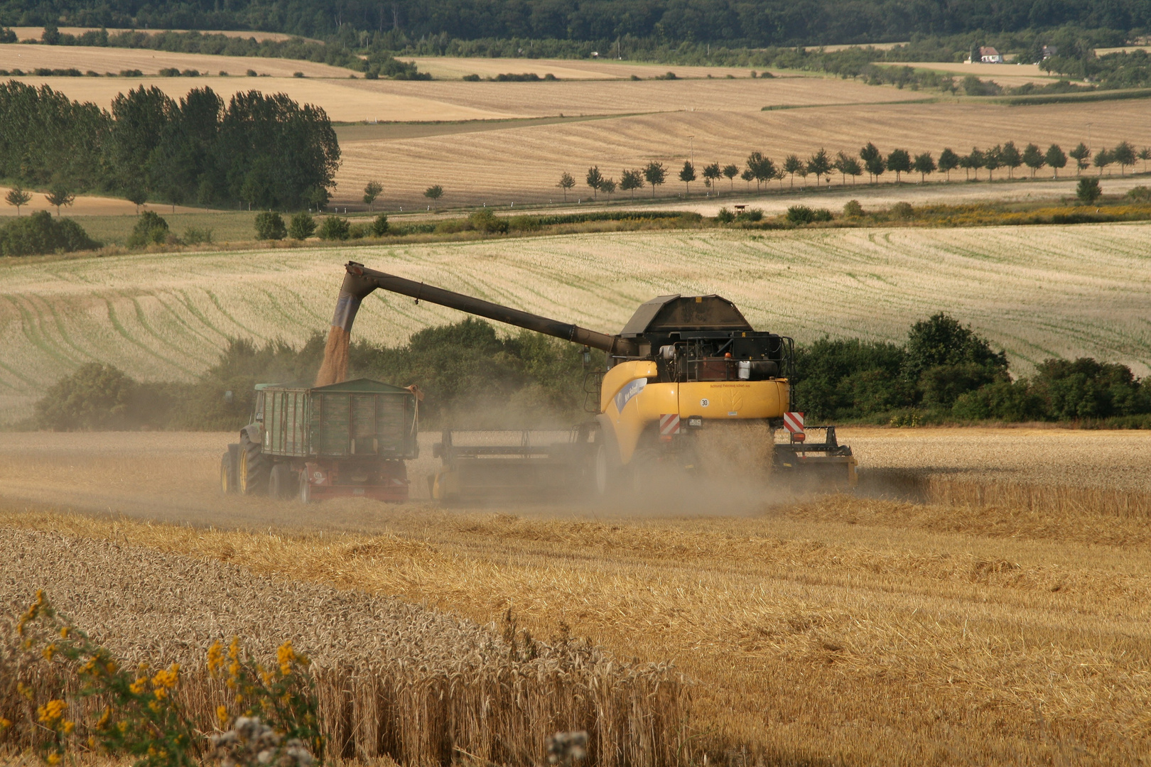 Getreide - Ernte ist in vollem Gange Foto & Bild | landschaft, Äcker ...