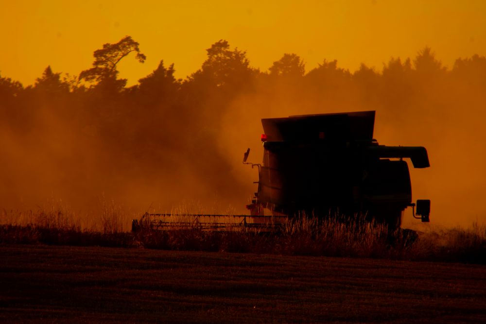Getreideernte 2022 Foto & Bild | landschaft, getreide, acker Bilder auf ...