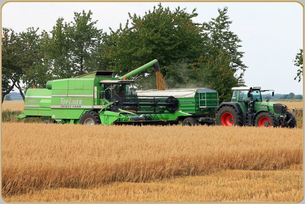 Getreideernte ( abbunkern ) Foto & Bild | landschaft, Äcker, felder ...