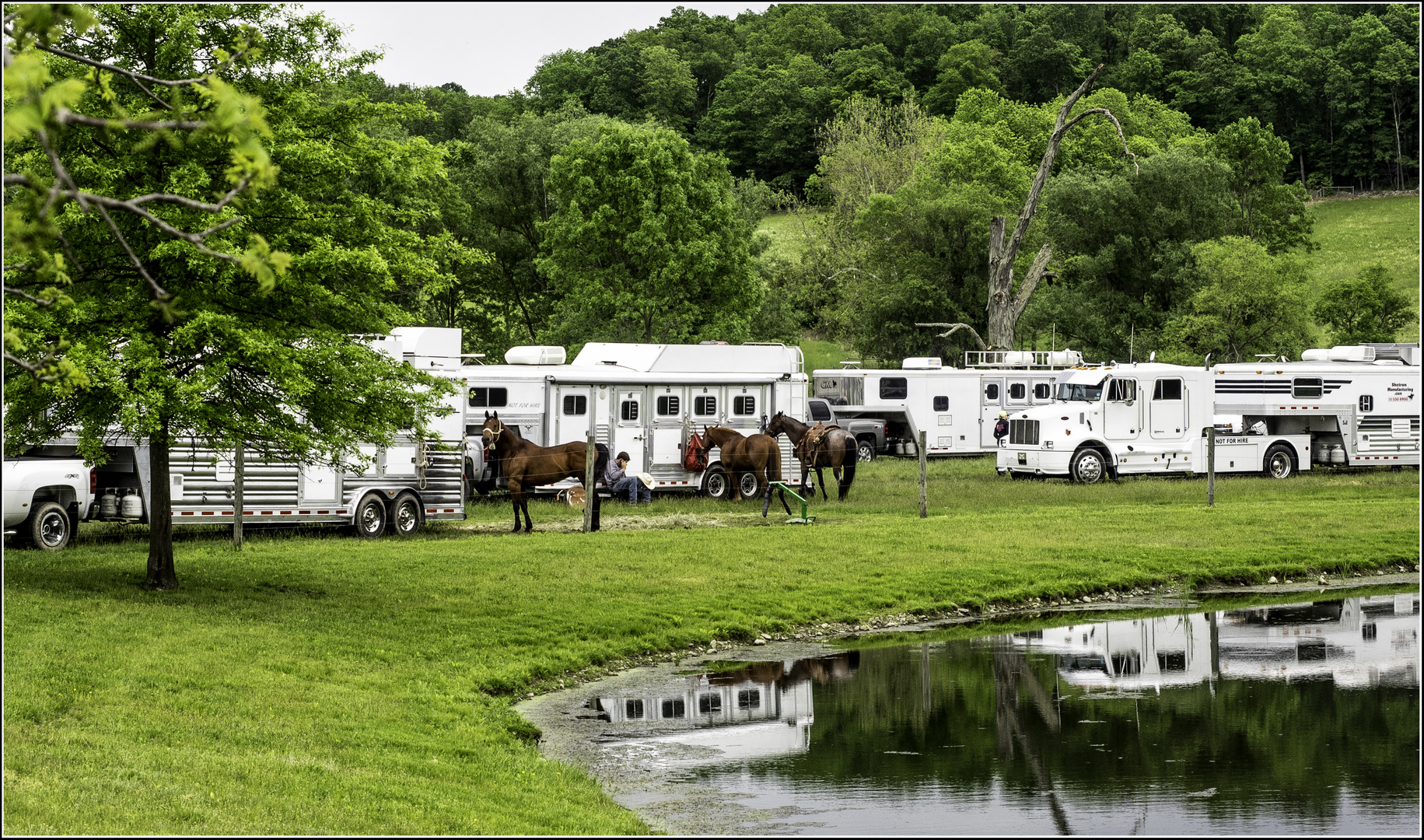 Getting ready for the Rodeo Foto & Bild | nature, trees, green Bilder ...