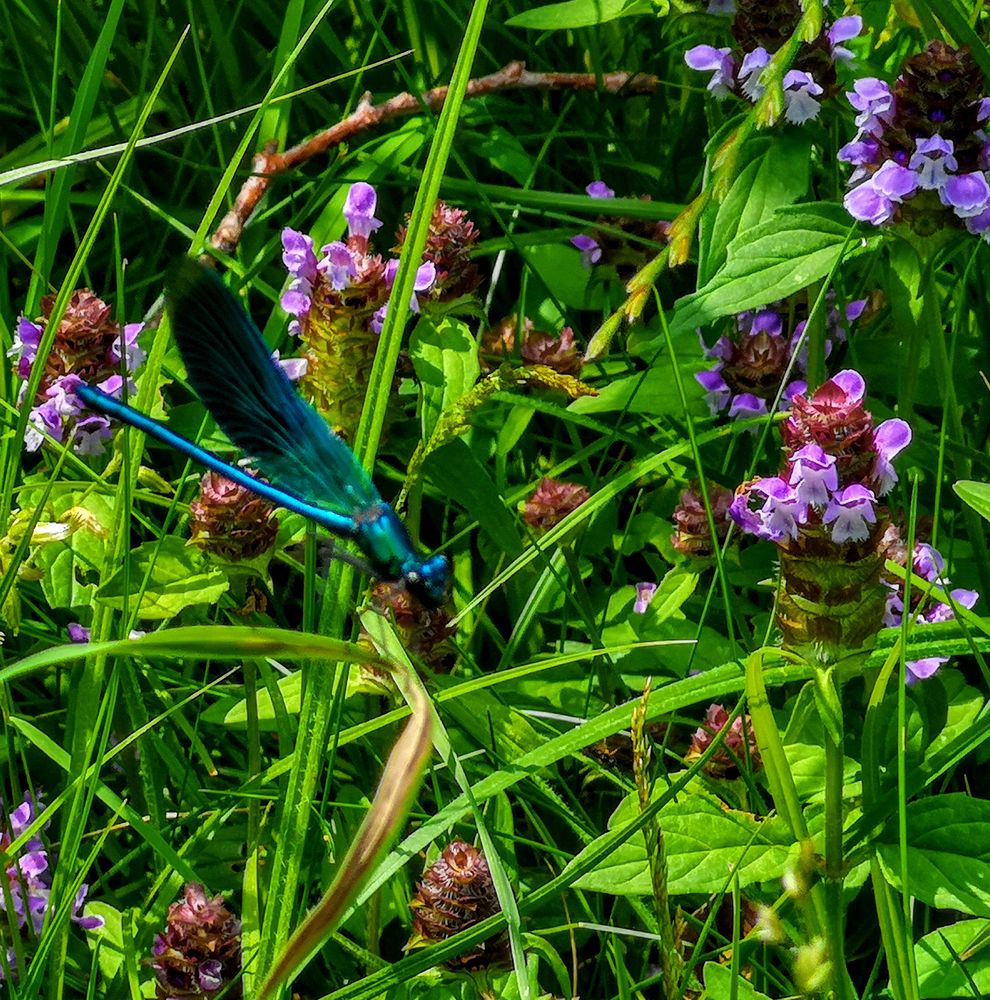 Gewartet Foto & Bild | landschaft, lebensräume, licht Bilder auf ...