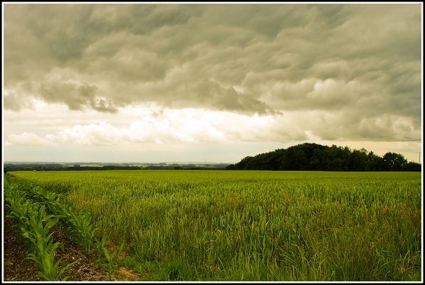 Thomas Ziska - Fotos & Bilder - Fotograf | fotocommunity