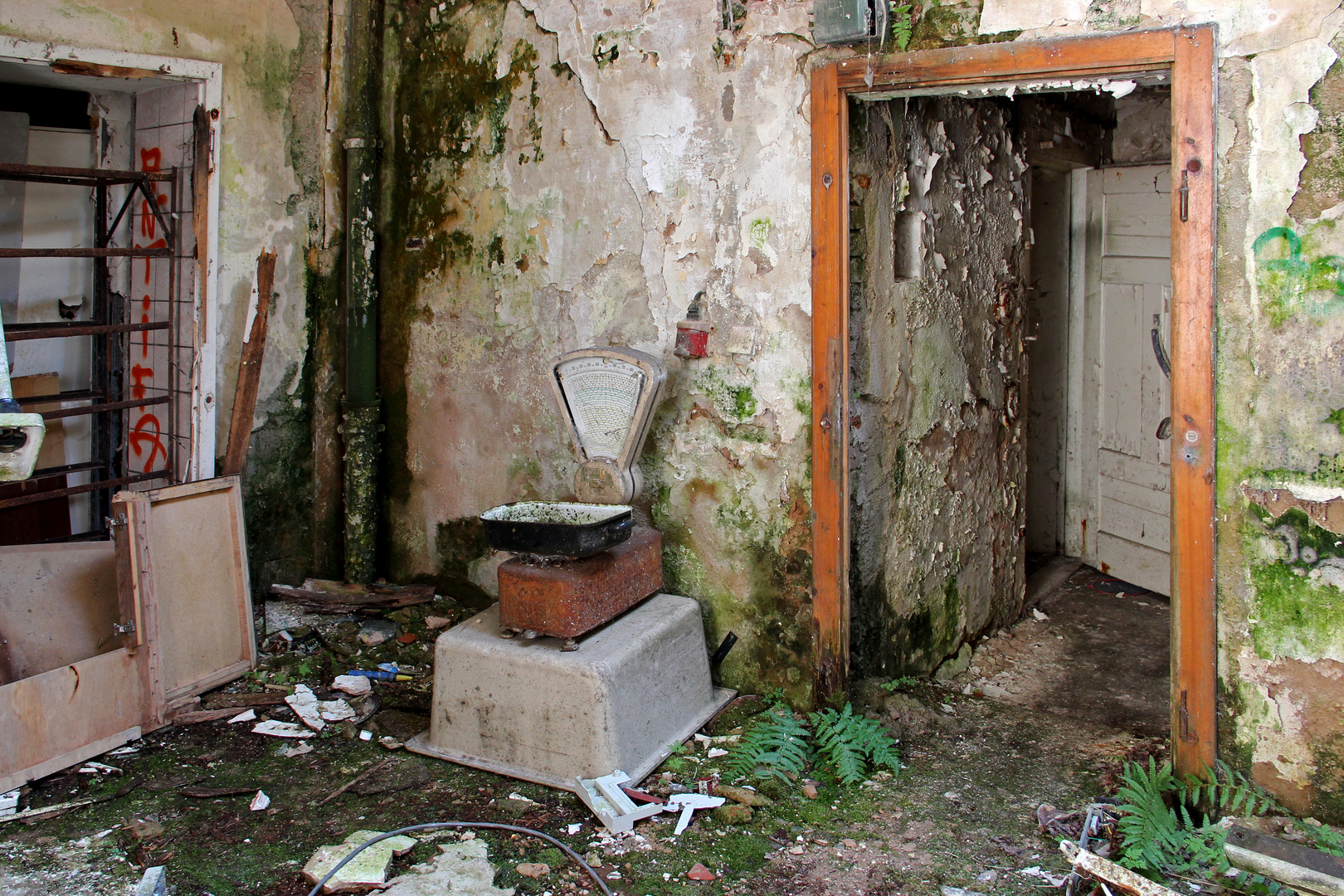 gewogen... Foto & Bild | architektur, deutschland, europe Bilder auf ...