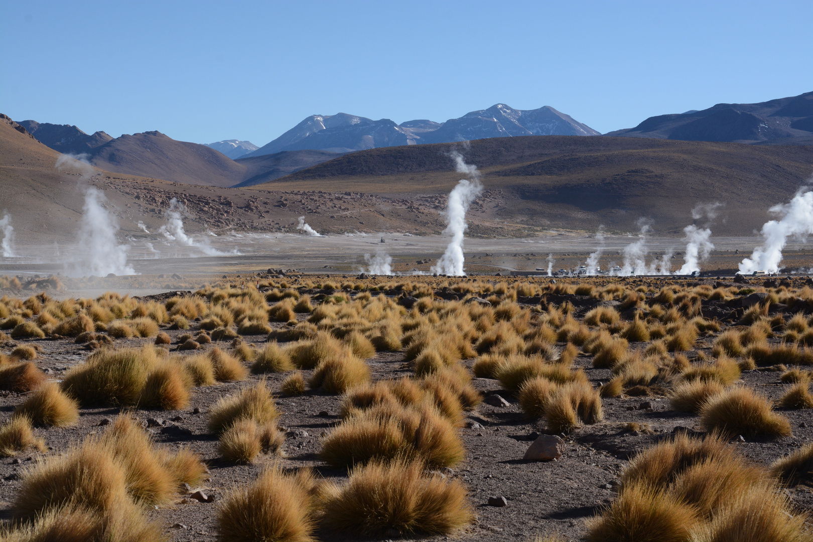 Geysire in den Anden Foto & Bild | landschaft, natur, world Bilder auf ...
