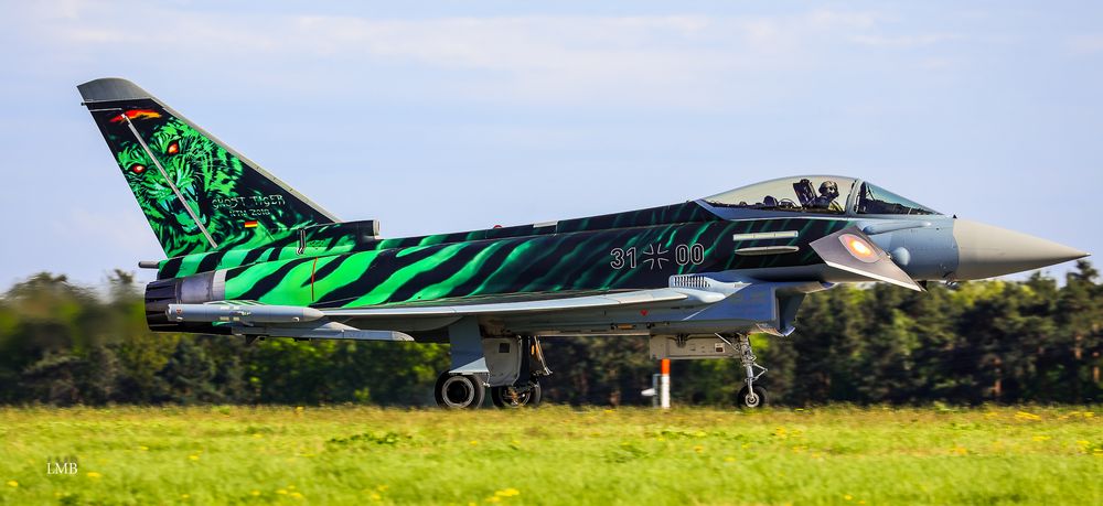 Ghost Tiger in Schönefeld Foto & Bild | deutschland, europe, berlin ...