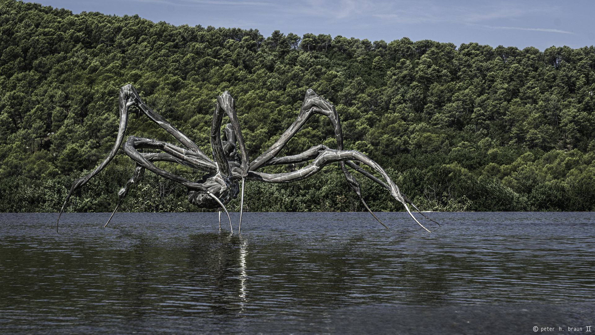 Giant Crouching Spider Foto & Bild | europe, france, provence-alpes ...