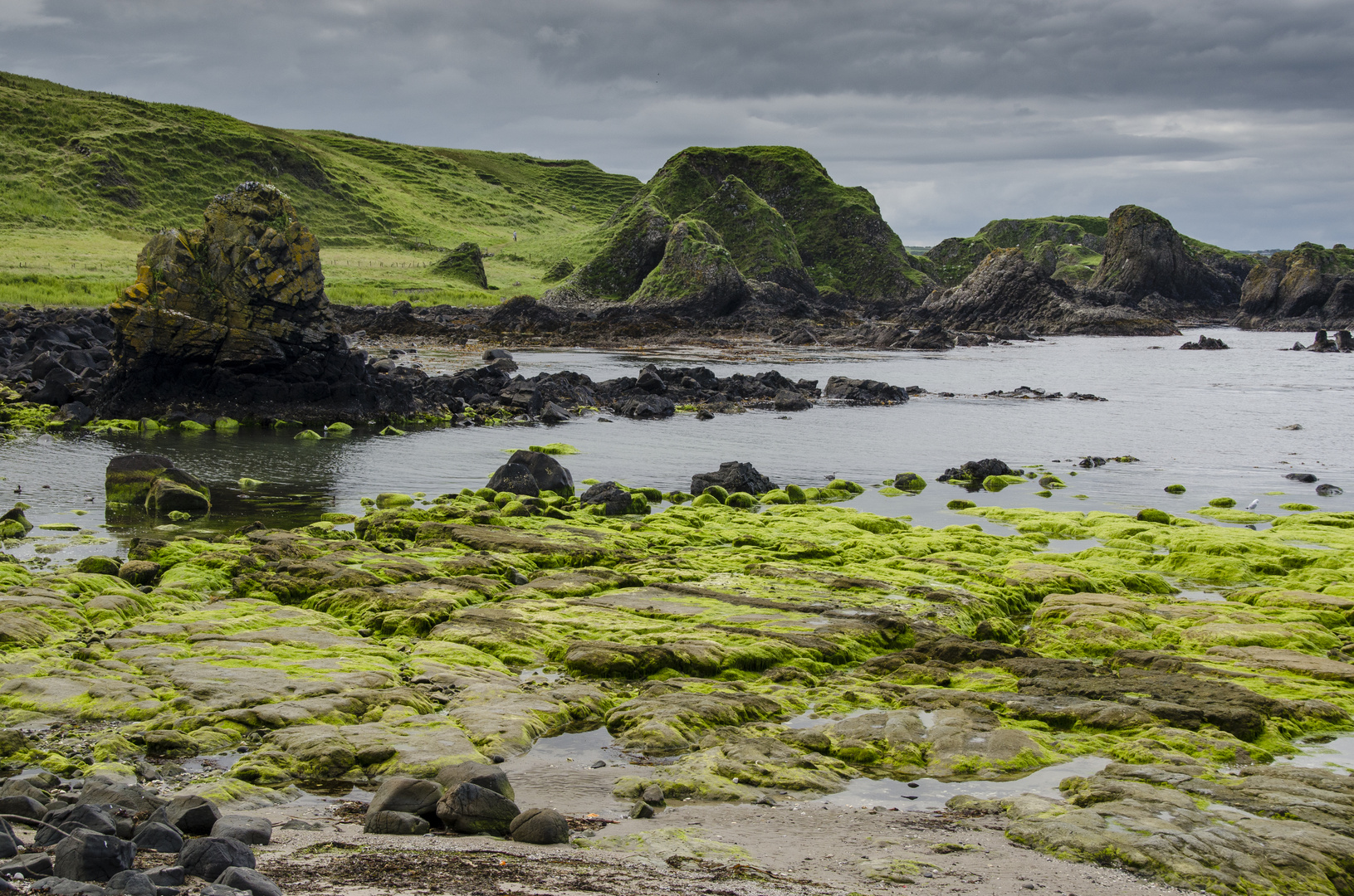 Giant's Causeway Coastal Walk Foto & Bild | europe, united kingdom ...