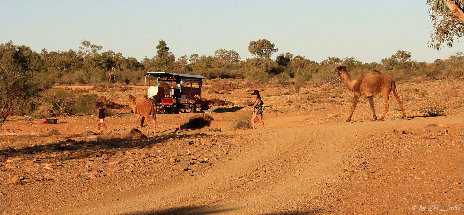 Gipsy's at the Oodnadatta Track Foto & Bild | australia & oceania ...