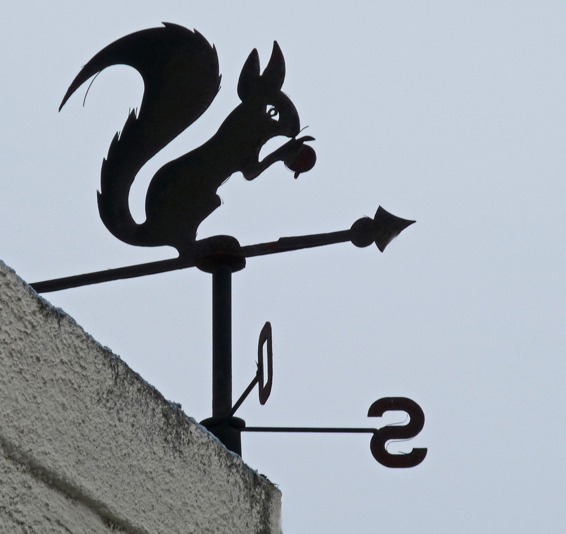 Girouette. photo et image | arts de rue, insolite_recherche, special ...