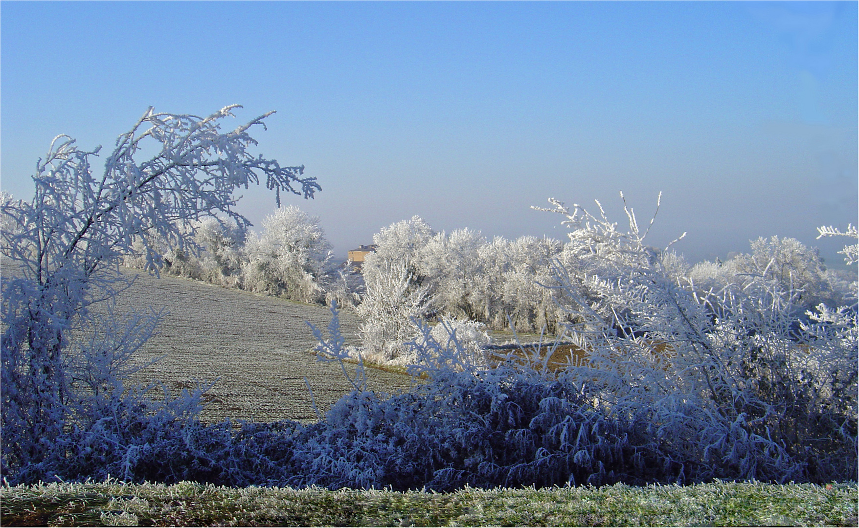Givre dans le Gers photo et image | blau, winter, frankreich Images ...