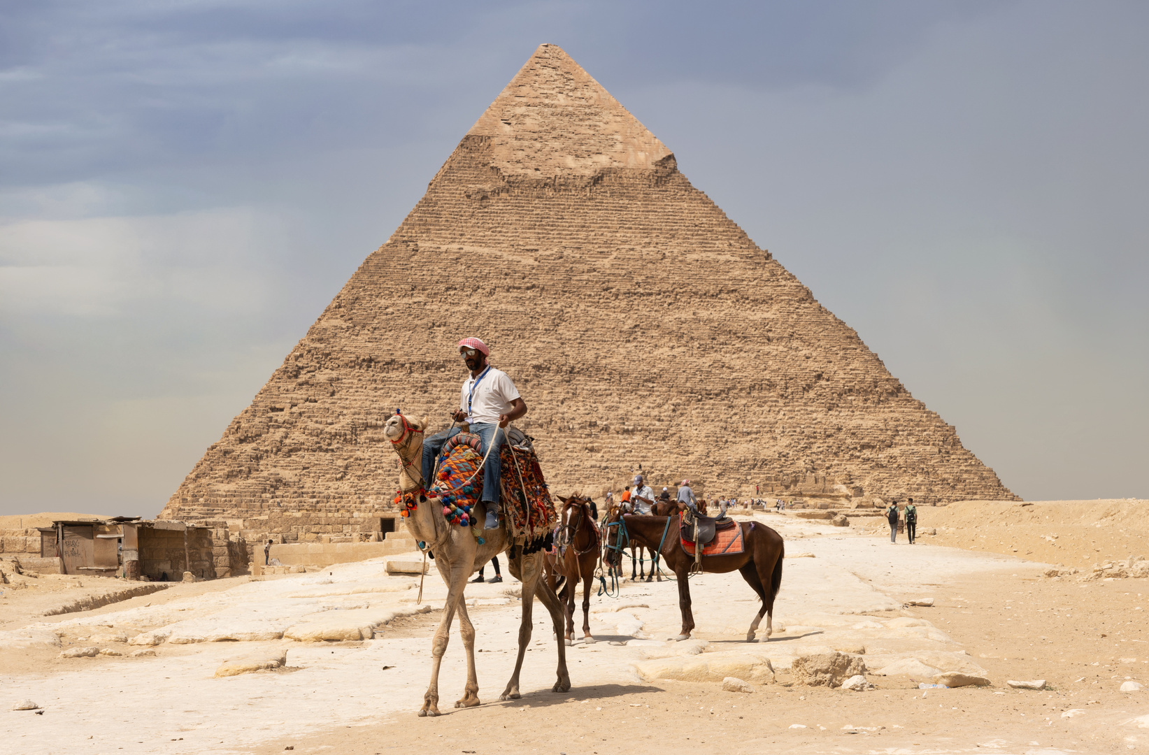 Gizeh-Plateau Foto & Bild | africa, egypt, north africa Bilder auf ...