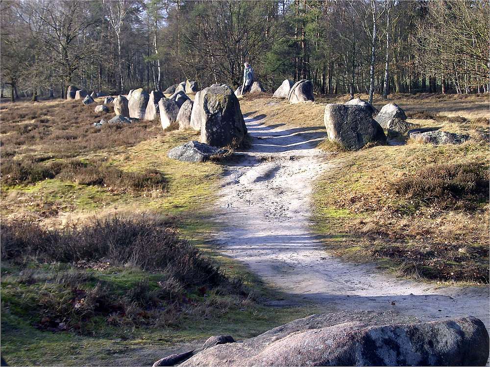 Glaner Braut Foto & Bild | deutschland, europe, niedersachsen Bilder ...