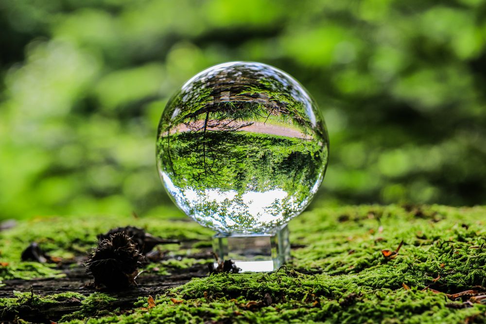 Glaskugel-3 Foto & Bild | landschaft, fotomontage, wald Bilder auf ...