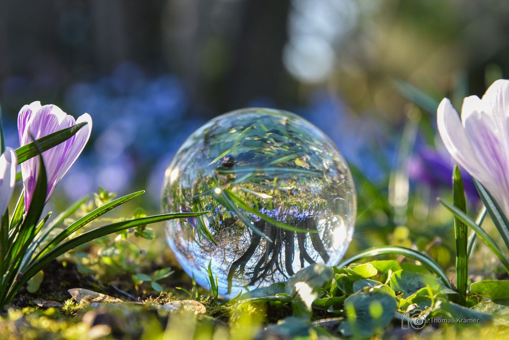 Glaskugel Foto D75_2652 Foto & Bild | experimente, sonstiges ...
