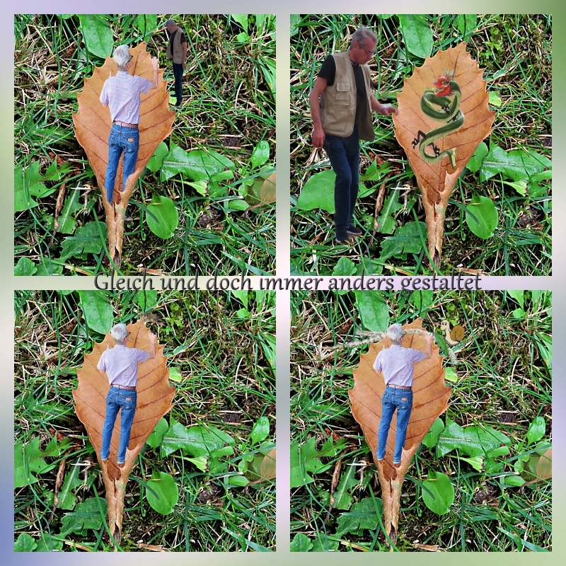 Gleich und doch immer anders Foto & Bild | fotomontage, natur-kreativ ...