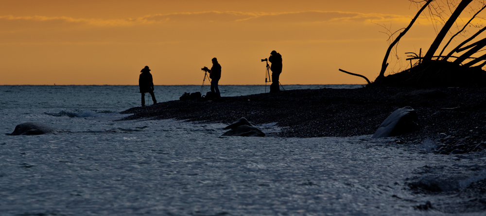 Gleichgesinnte Foto & Bild | deutschland, europe, mecklenburg ...