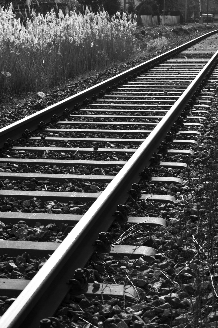 Gleise Foto & Bild | monochrom, eisenbahn, gleise Bilder auf fotocommunity