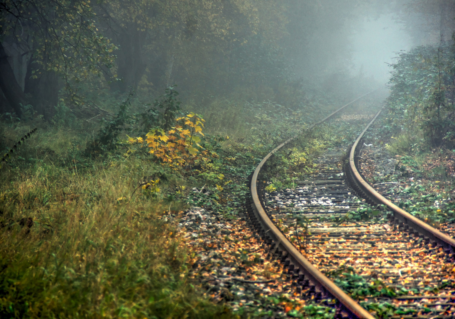Gleise Foto & Bild | gleise, eisenbahn, verkehr & fahrzeuge Bilder auf ...