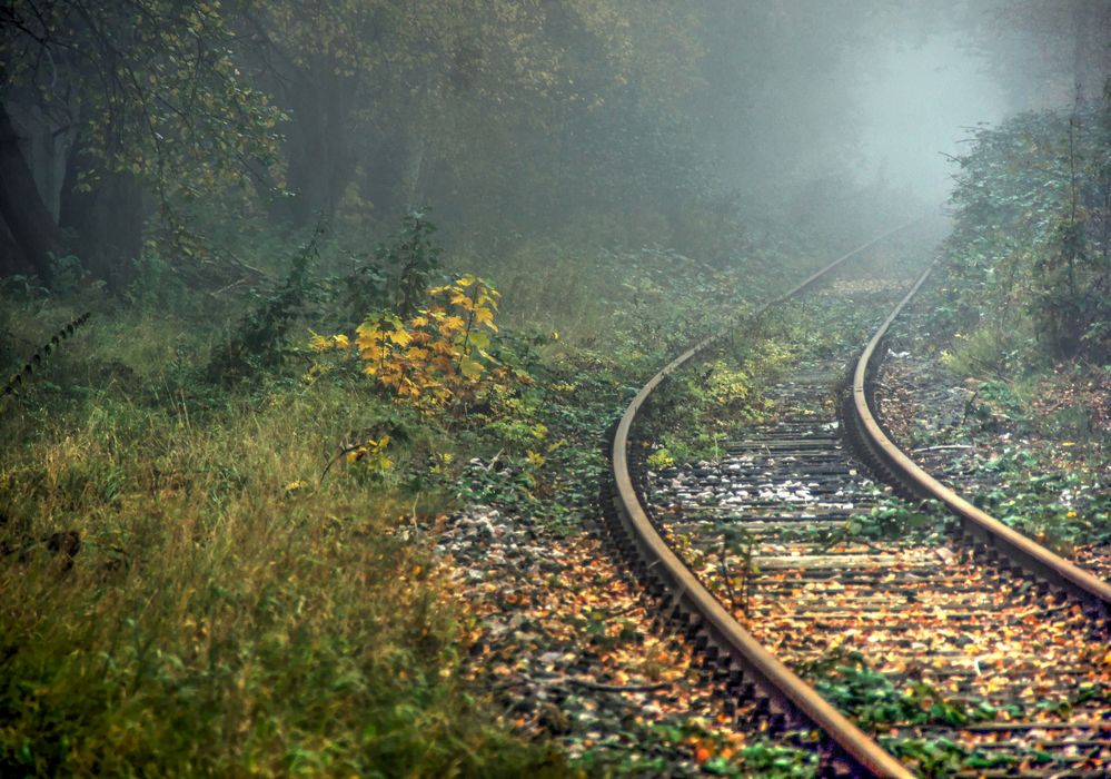 Gleise Foto & Bild | gleise, eisenbahn, verkehr & fahrzeuge Bilder auf ...